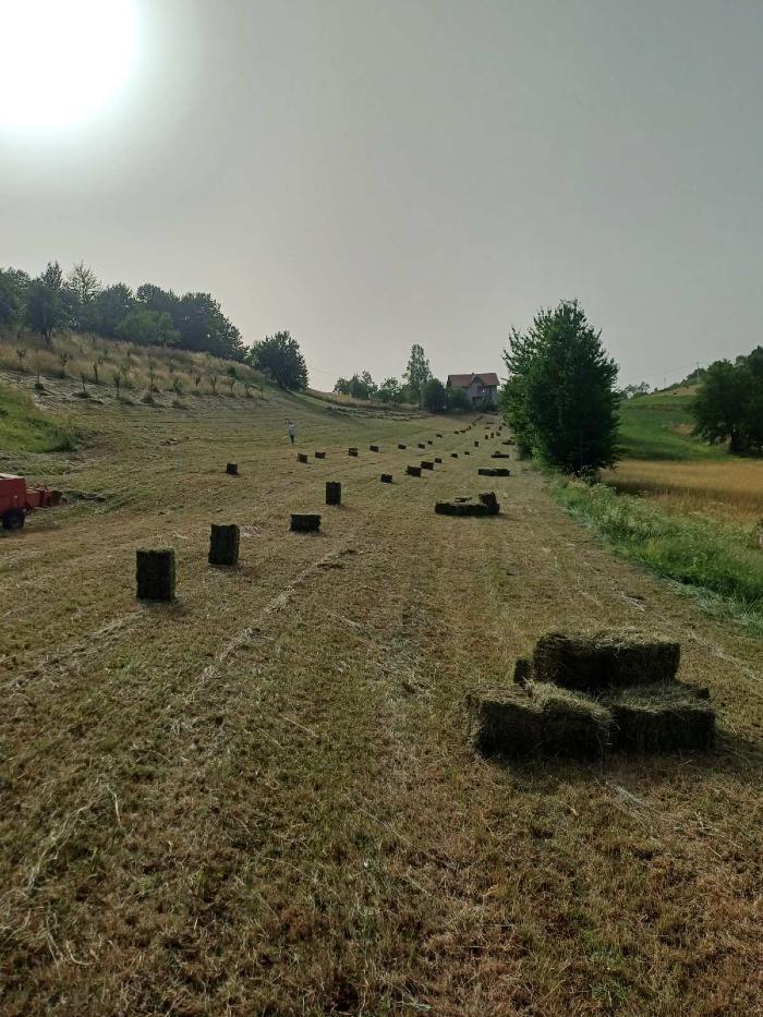 Seljak.me - prvo crnogorsko digitalno selo